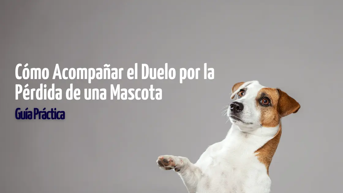 Cómo acompañar el duelo por la pérdida de una mascota